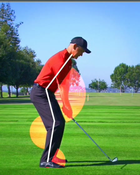 loss of posture, TPI, titleist performance institute : 네이버 블로그