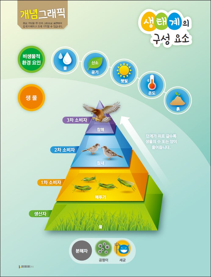 초등과학 비상교육 개념 그래픽 인포그래픽 네이버 블로그