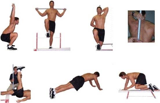 기능적인 움직임 검사 (Functional Movement Screen: FMS) : 네이버 블로그