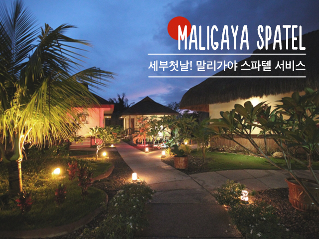 이번 세부여행 첫째날은 말리가야 스파텔로 하는걸로.. : 네이버 블로그