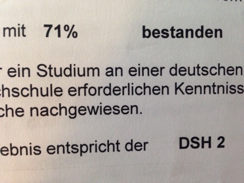 독일어 시험 : DSH , 내 공부법 : 네이버 블로그