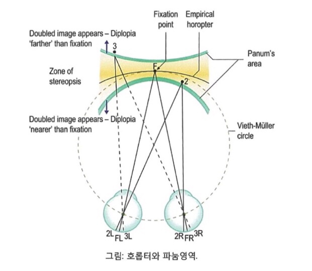 호롭터 horopter : 네이버 블로그