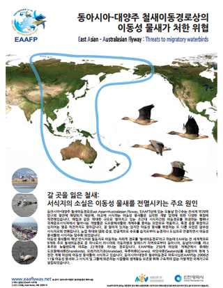 [EAAFP] 소개 책자 및 관련 브로셔들 : 네이버 블로그