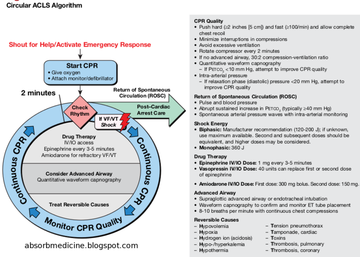 ACLS Algorithm (전문심폐소생술 알고리즘) : 네이버 블로그