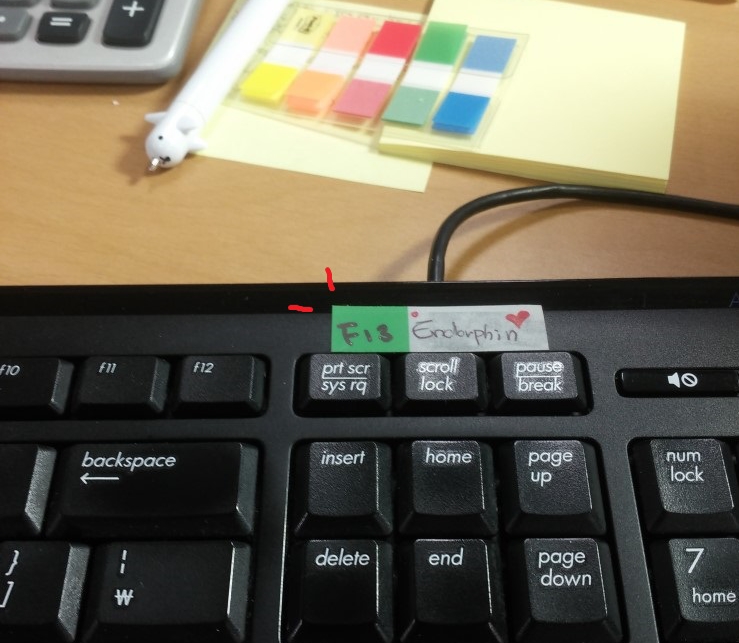 "F13 버튼 출시" : 네이버 블로그