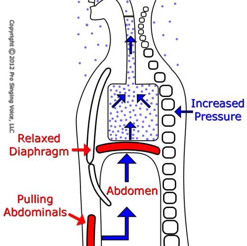 Breathing Pattern Disorder Assessment part 2 : 네이버 블로그
