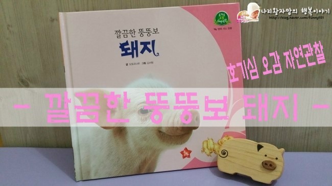 글뿌리호기심 오감 자연관찰 깔끔한 뚱뚱보 돼지 모래를 이용해서 돼지만들기 # 네이버 블로그