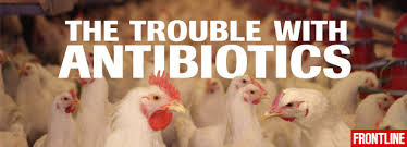 (영어 다큐) The Trouble with Antibiotics : 네이버 블로그