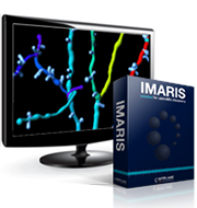 IMARIS F1 V8 Imaging software (이마리스 F1) for Life sciences : 네이버 블로그
