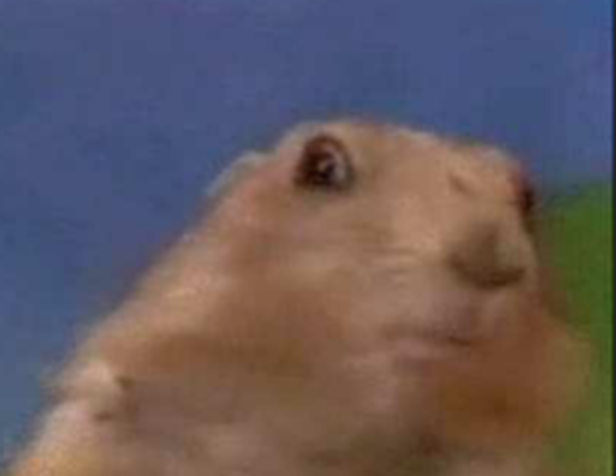 46. Dramatic chipmunk : 빰~빰~빰~~ : 네이버 블로그