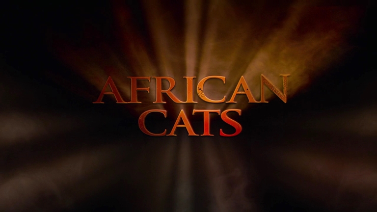 동물들의 모성 아프리칸 캐츠 (African Cats) 가족영화로 최고 : 네이버 블로그