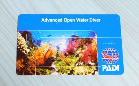 스쿠버다이빙 자격증 종류와 라이센스 발급 단체들 padi, cmas, naui 등 : 네이버 블로그