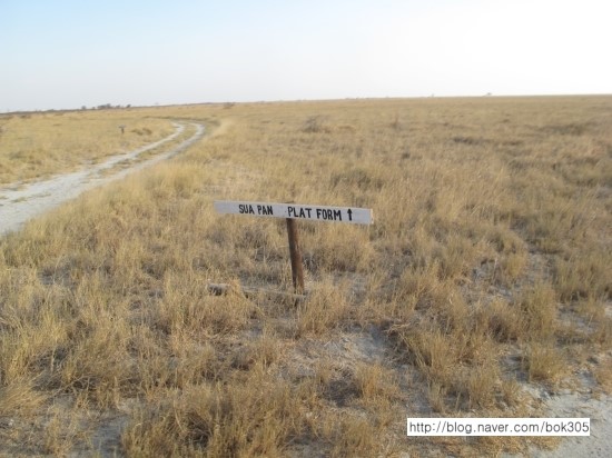 나타(Nata)-수아 팬(Sua Pan) : 네이버 블로그