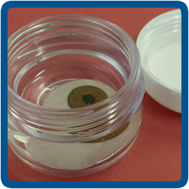 [최의안연구소] 의안 세척에 관하여 : 네이버 블로그