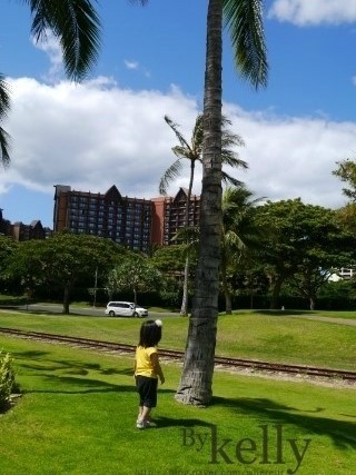 코올리나 스테이션 & 센터 (Ko Olina Station & Center) - 코올리나, 오아후 : 네이버 블로그