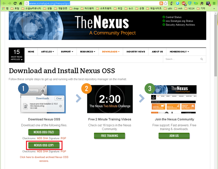 Nexus 설치 윈도우편 : 네이버 블로그