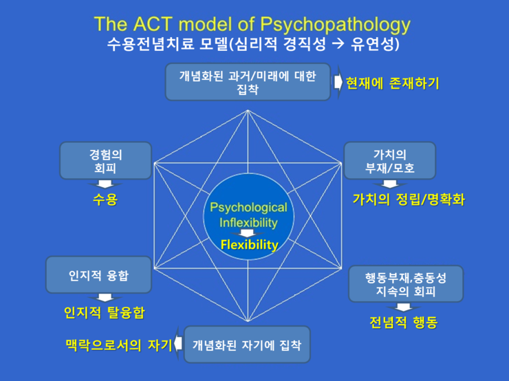 ACT model(for 심리적유연성) : 네이버 블로그