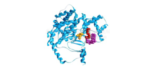 PTD 공법 :) : 네이버 블로그
