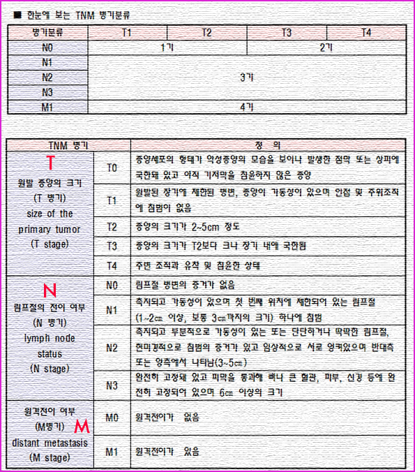 암의 병기 분류 TNM : 네이버 블로그