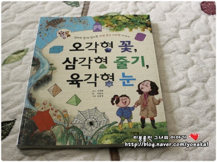 오각형 꽃 삼각형 줄기 육각형 눈~~ 자연 속의 기하학 이야기 네이버 블로그