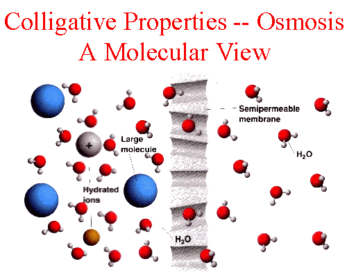 총괄성. colligative property : 네이버 블로그
