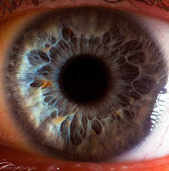 Unbelievable Photographs of The Human Eye : 네이버 블로그