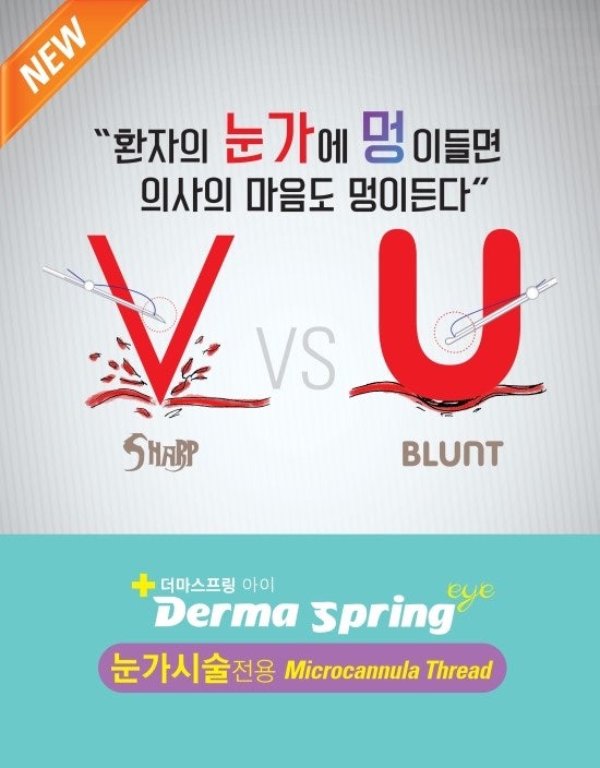 더마스프링아이 derma spring eye : 네이버 블로그
