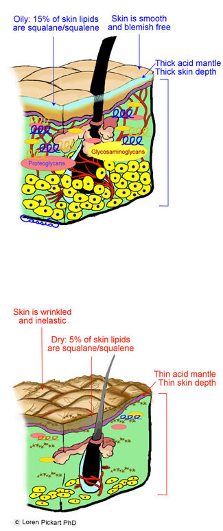 The Real Science of Younger Skin - Copper Peptides : : 네이버 블로그