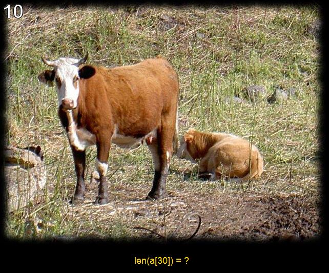 [Python] Python Challenge 10. look and say sequence (개미수열) : 네이버 블로그