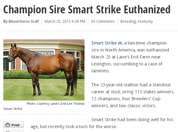 Smart Strike Euthanized : 네이버 블로그