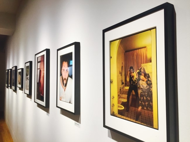 대림미술관전시회 :: 린다 매카트니 사진전 '생애 가장 따뜻한 날들의 기록' : 네이버 블로그