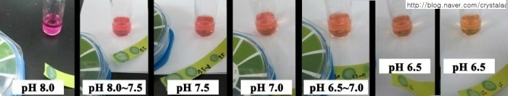 The pH of complete media and DMEM/RPMI color range : 네이버 블로그