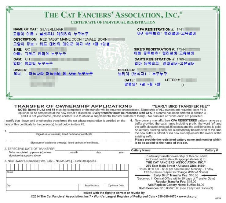 CFA Green card / CFA 혈통 등록증. : 네이버 블로그