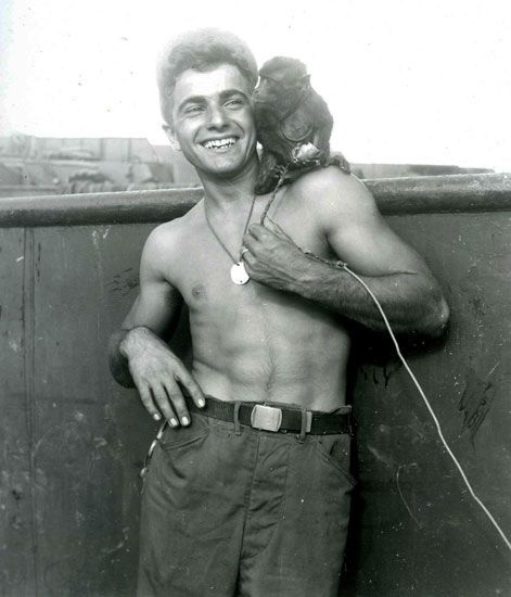 2차 세계대전 당시 군대의 마스코트 원숭이들[World WAR 2 Military Mascot Monkeys] : 네이버 블로그