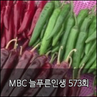 [MBC] 늘 푸른 인생 573회 : 네이버 블로그