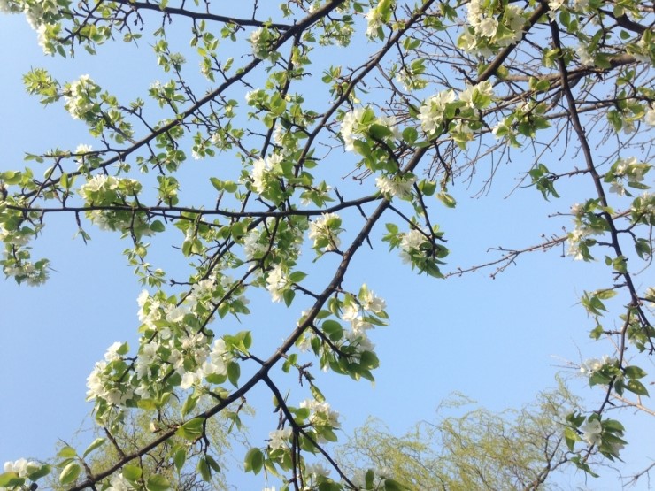 P2P란?-어학세계사 : 네이버 블로그