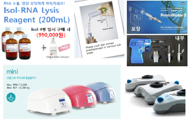 [Protocol]RNA 분리가 어려운 지방조직에서 Total RNA 뽑기(Isol-RNA Lysis/Phase Lock Gel ...