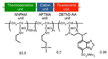 Cellular Thermoprobe for Fluorescence Lifetime_세포 내부 온도 측정 형광 프로브 [FDV ...