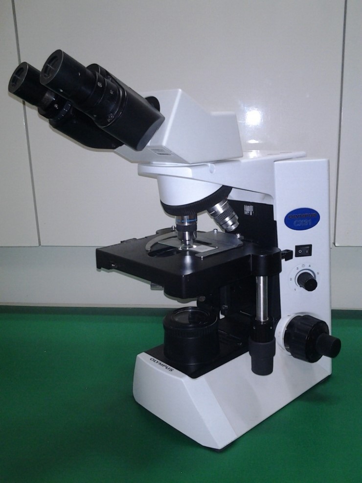 올림프스 CX-31 현미경-40-1000배율. : 네이버 블로그