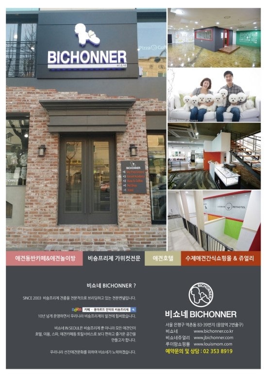 비쇼네 전단 아트지전단 스노우지전단 양면전단 분당 판교 성남 전단인쇄 네이버 블로그