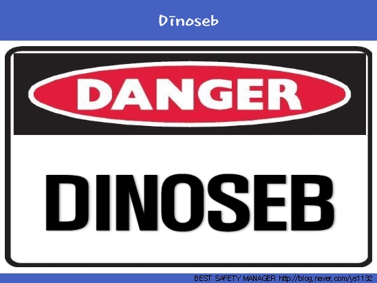 디노셉(Dinoseb) 화학사고 대응방법 : 네이버 블로그