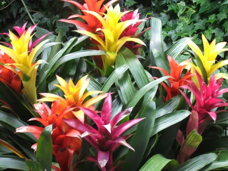 삶에 힘이되는 짧은글귀~ : 네이버 블로그