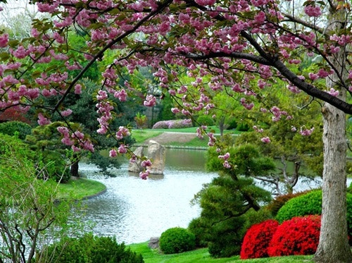 대장암에 얽힌 풀기 힘든 수수께끼 : 네이버 블로그