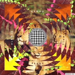 2015-05-08 / 어버이날이지만 엄빠는 못보구 그래도 바쁜건끝났으니까 퓨처 소울 하우스! Exmag and BRANX 의 ...