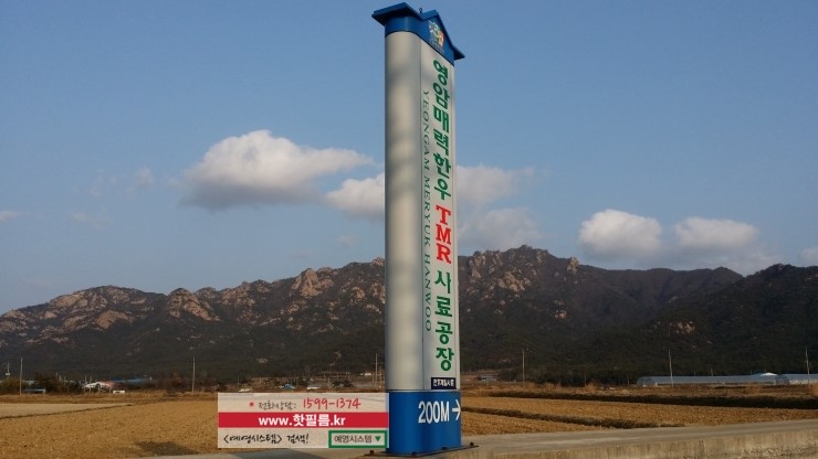 전남 영암군 군서면 월출산에 영암매력 한우 천하제일 겨울철 사료 숙성 공장 한우생육 최고육질 섬유질 Tmr사료 물류창고 식품창고