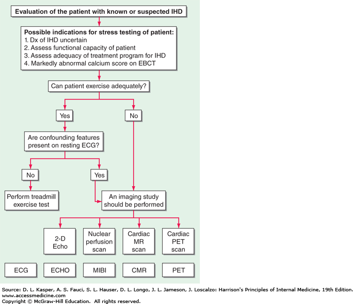 Exercise stress electrocardiography (Harrison's 19th edition) : 네이버 블로그