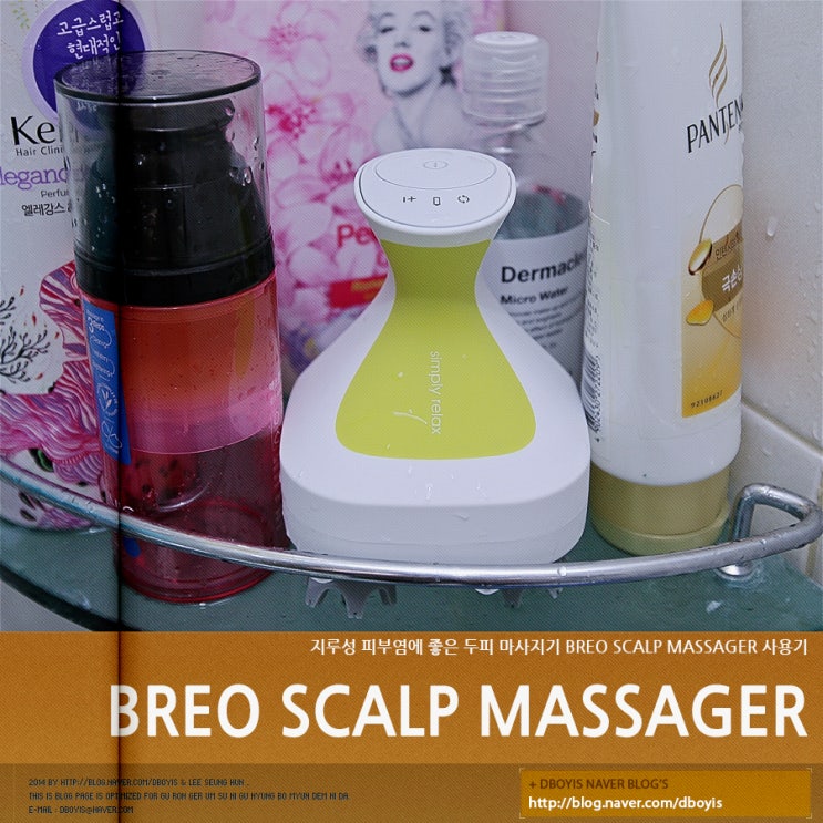 두피 마사지기 BREO SCALP 브레오 스칼프 사용기 : 네이버 블로그