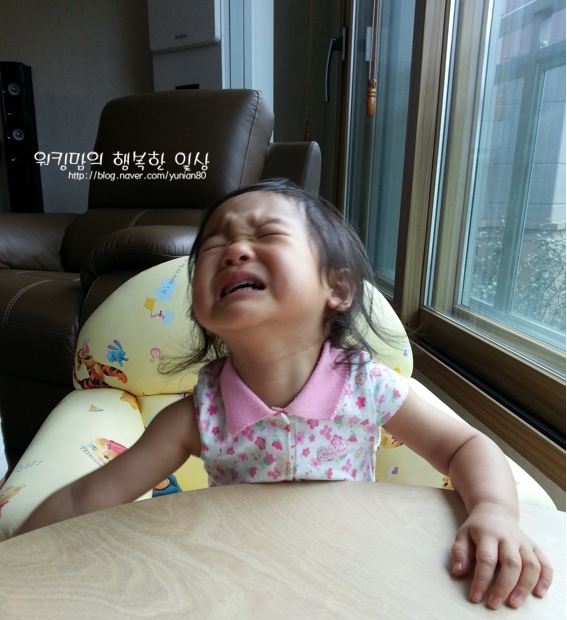 [육아 정보] 떼쓰는 아기 훈육 18~24개월 떼쓰는 아이 훈육 네이버 블로그