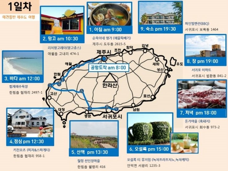 제주도 애견동반 여행 추천코스 및 애견가능식당 강아지 제주도 여행 네이버 블로그