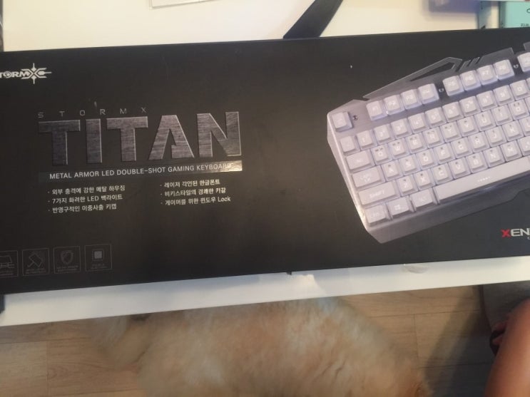 stormx TITAN 키보드 LED 점등, 타격음 : 네이버 블로그